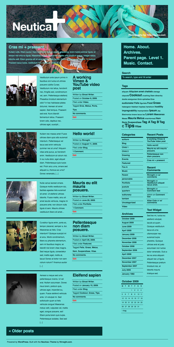 neutica-screenshot – ThemeShaper